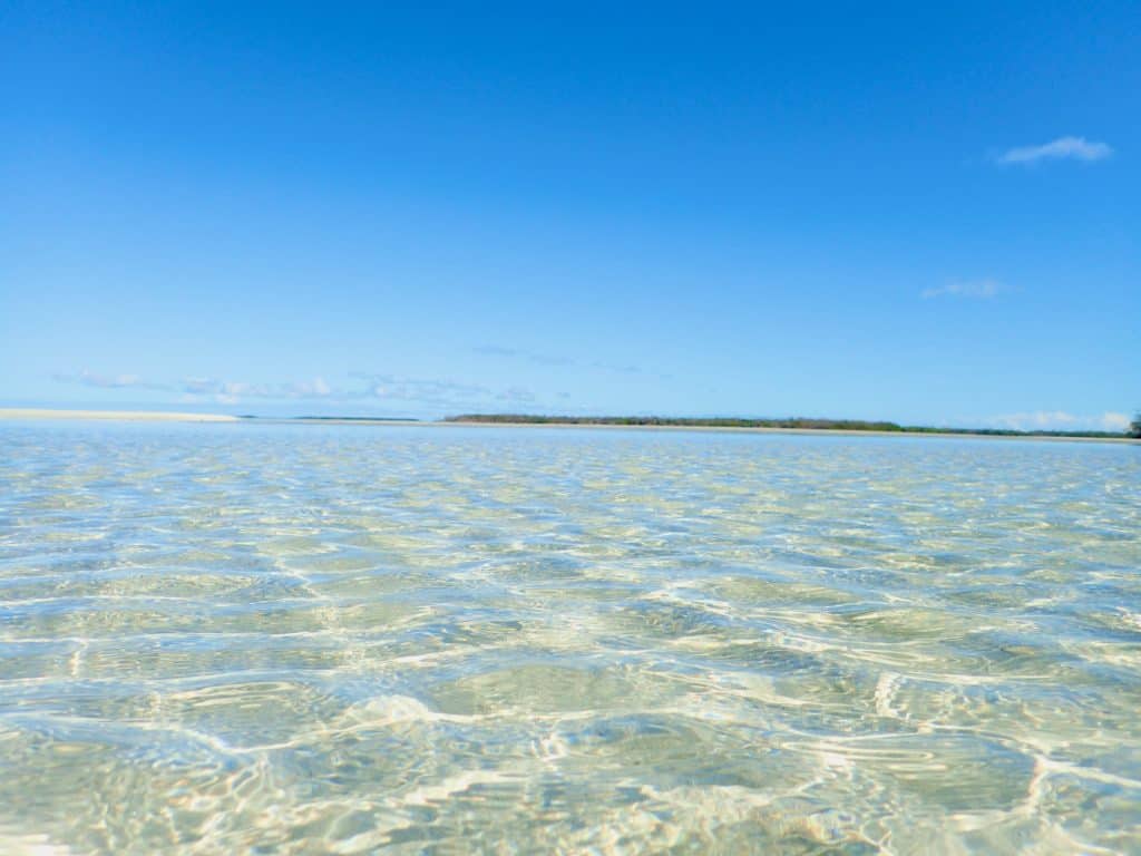 Sandbar Photos - Sandbar Charters