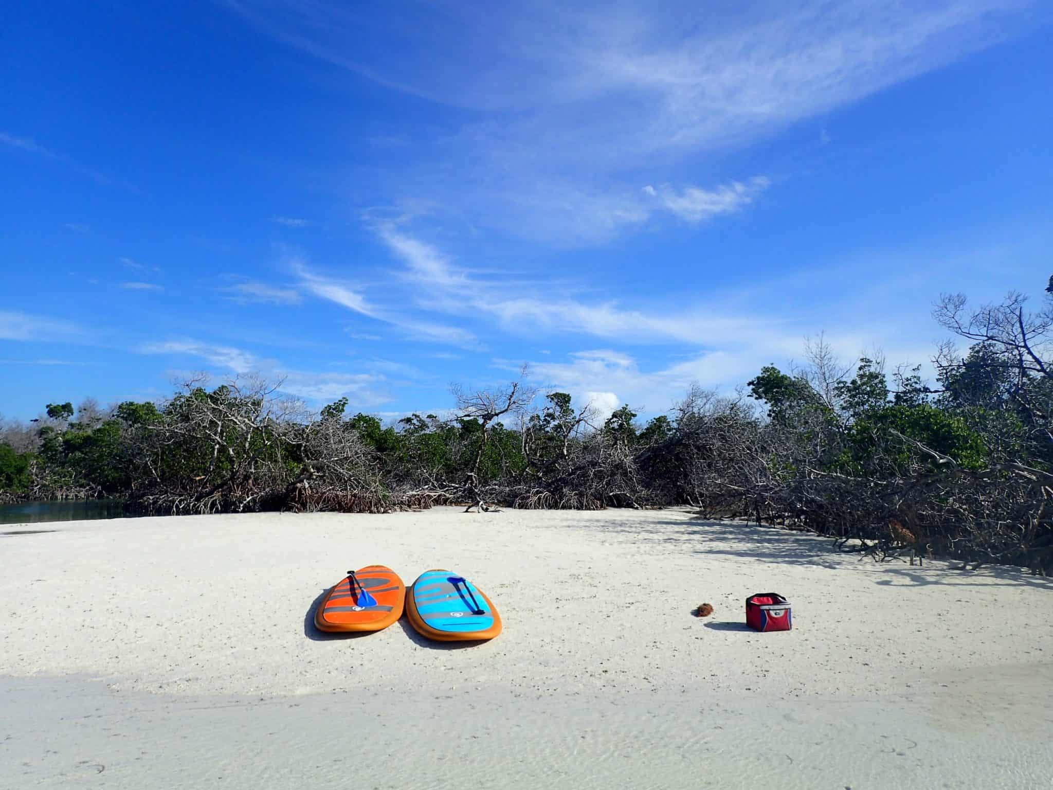 Sandbar Photos - Sandbar Charters